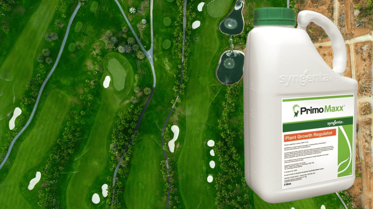 Primo Maxx in Golf Course Management | Greenkeeping Insight